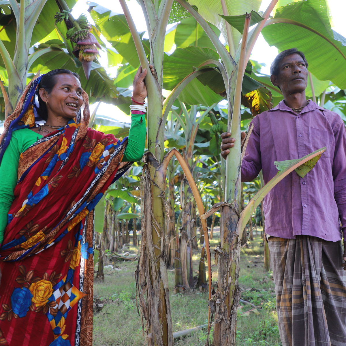 Approaches / Bangladesch.org